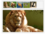 How To Change Your Background Image Dynamically In Javascript